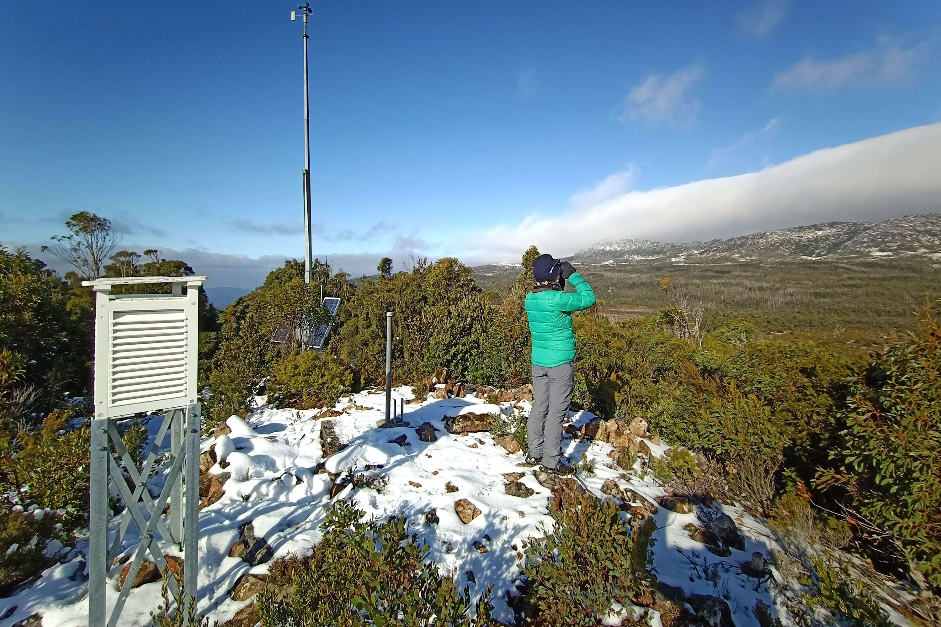 Apps | NatureTrackers