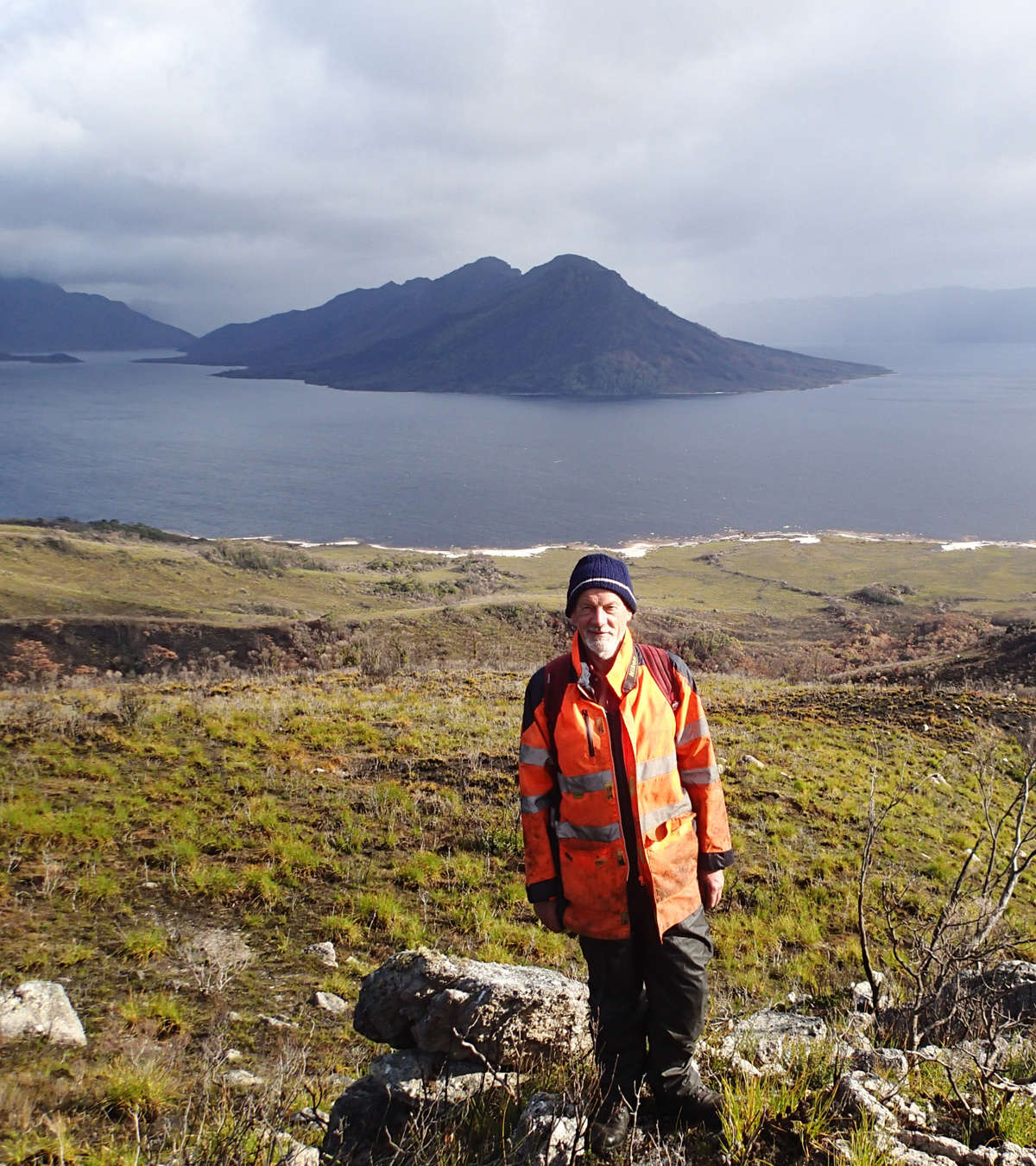 Our projects: Where? Where? Wedgie! and Claws on the Line | NatureTrackers